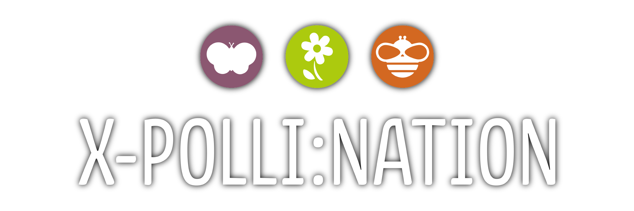 Qui Maremma Toscana - X-polli:nation